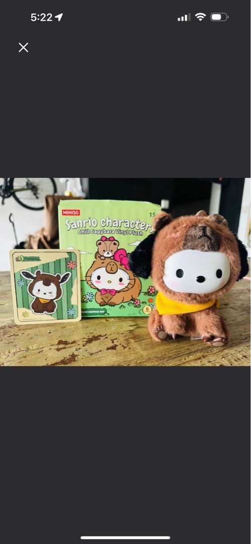 Miniso Sanrio Chill Capybara Plush, Hobbies & Toys, Toys & Games on ...