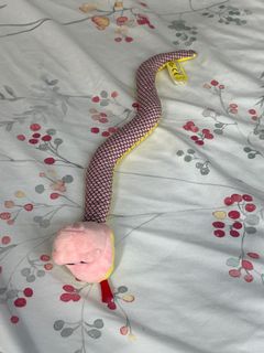 Sister Snake by Amanda Lee Koe, Hobbies & Toys, Books & Magazines ...