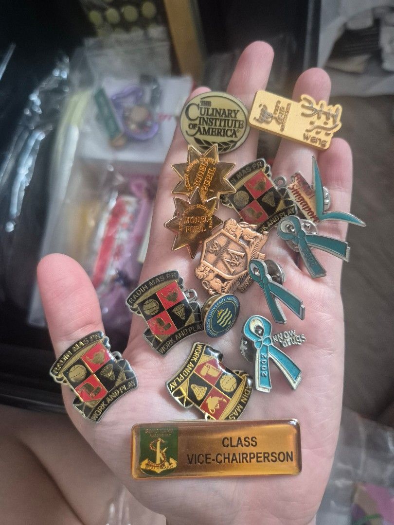 Vintage Pin Collection, Hobbies & Toys, Memorabilia & Collectibles ...