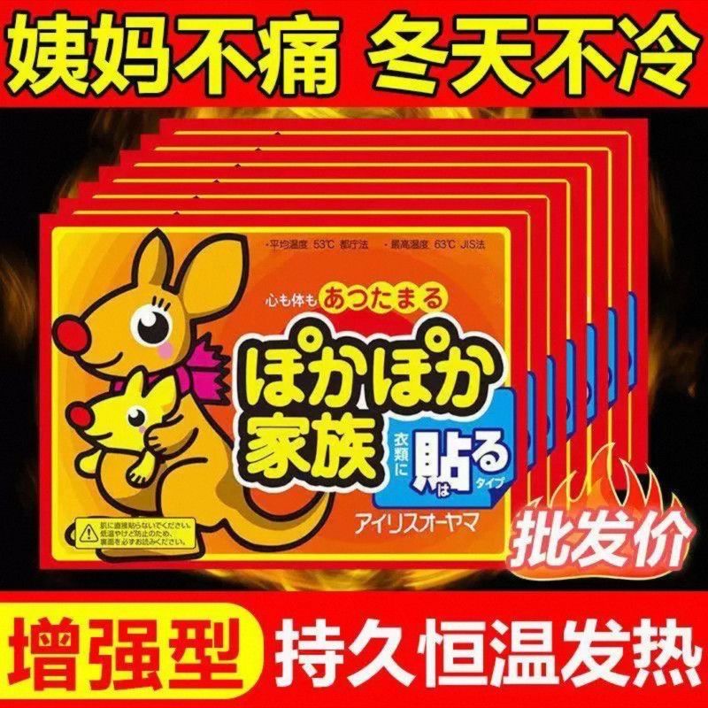 10 pcs Heat Pads - For Winter Warmth, Hobbies & Toys, Travel, Travel ...