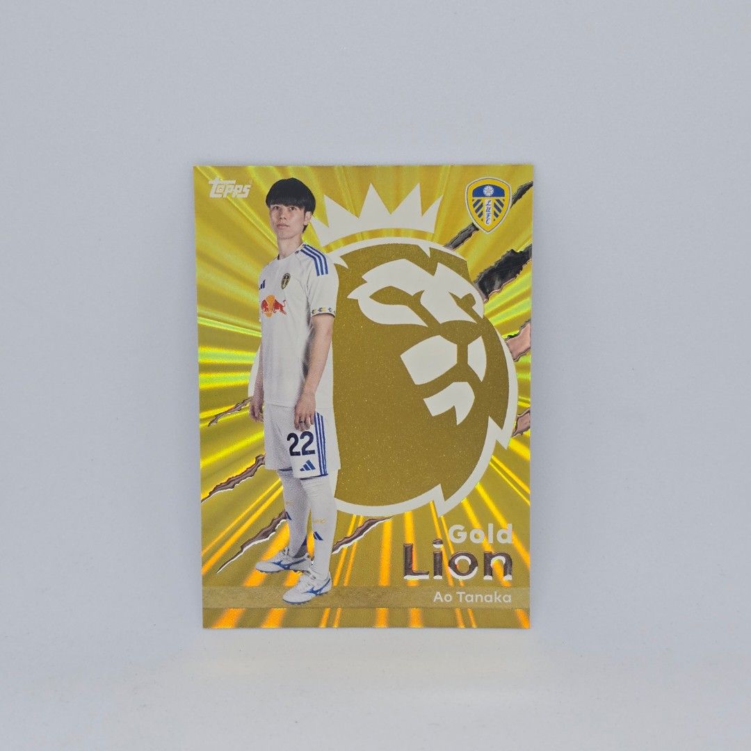 Ao Tanaka Gold Lion, Hobbies & Toys, Toys & Games on Carousell