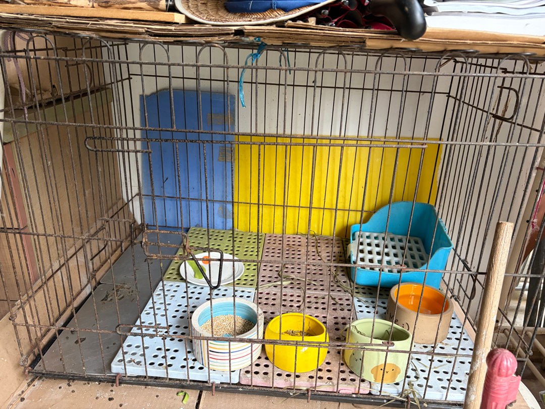 Bare metal fence playpen, Pet Supplies, Homes & Other Pet Accessories ...