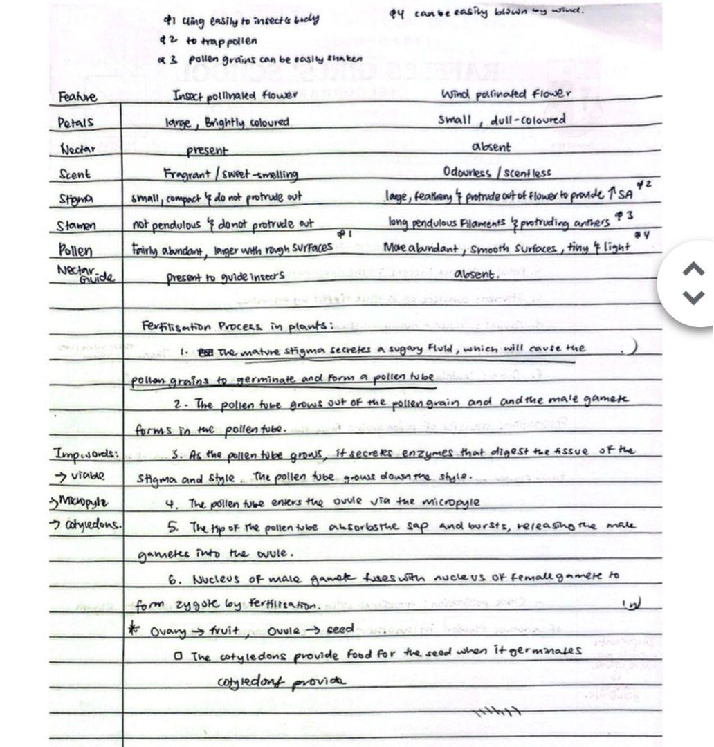 RGS science online notes (Year 3 & Year 4), Everything Else on Carousell