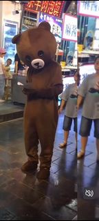 🐻 Brown Line Bear Mascot, Hobbies & Toys, Occasions & Party Supplies on ...