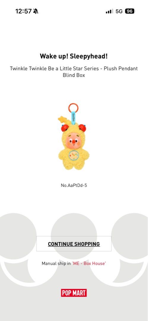 POP MART Twinkle Twinkle Be a Little Star Plush Pendant, Hobbies & Toys ...