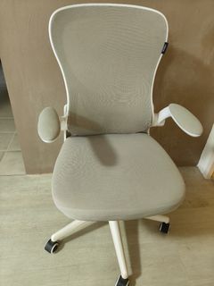 Ergonomic Mesh Office Chair - Full body length, adjustable arm, head ...
