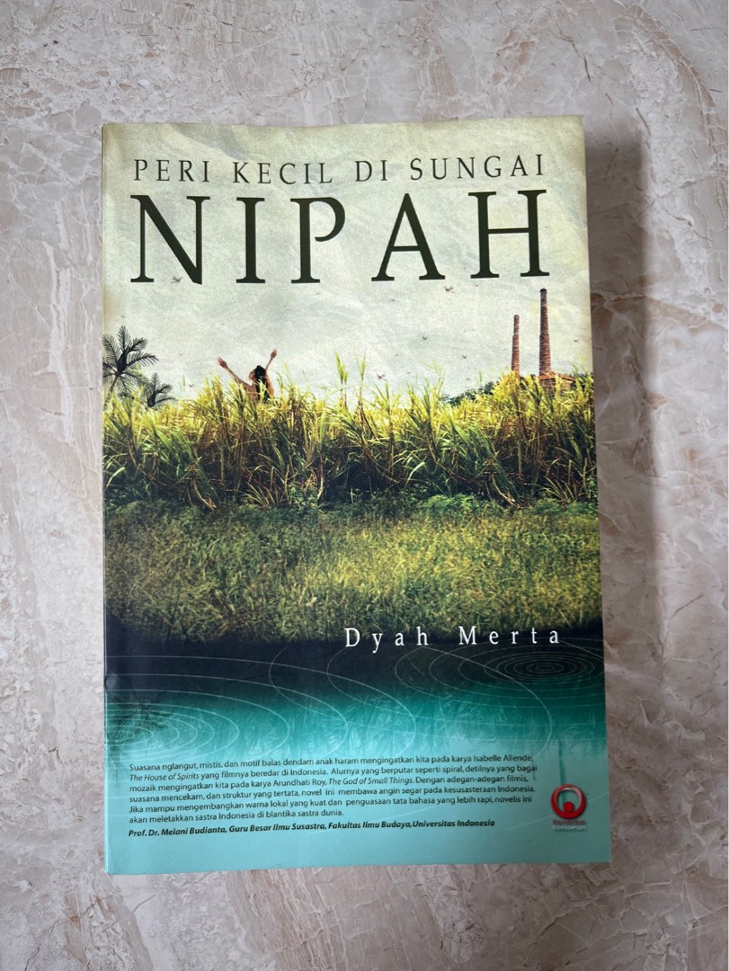 Peri Kecil di Sungai Nipah by Dyah Merta, Buku & Alat Tulis, Buku di ...