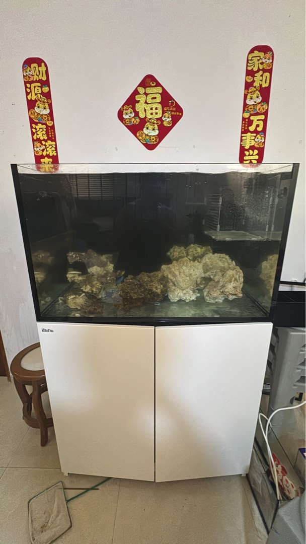 Red Sea Reefer Aquarium with Sump, Pet Supplies, Homes & Other Pet ...