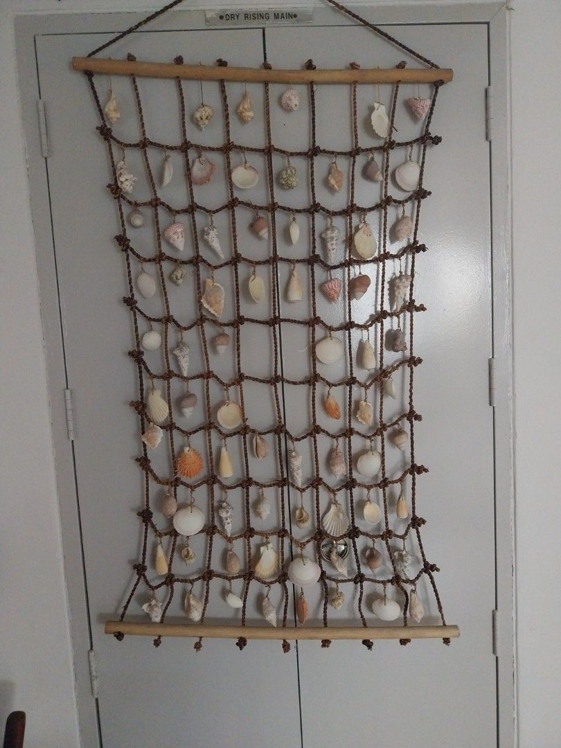 Vintage Shell Collection in Net Display, Hobbies & Toys, Memorabilia & Collectibles, Vintage ...