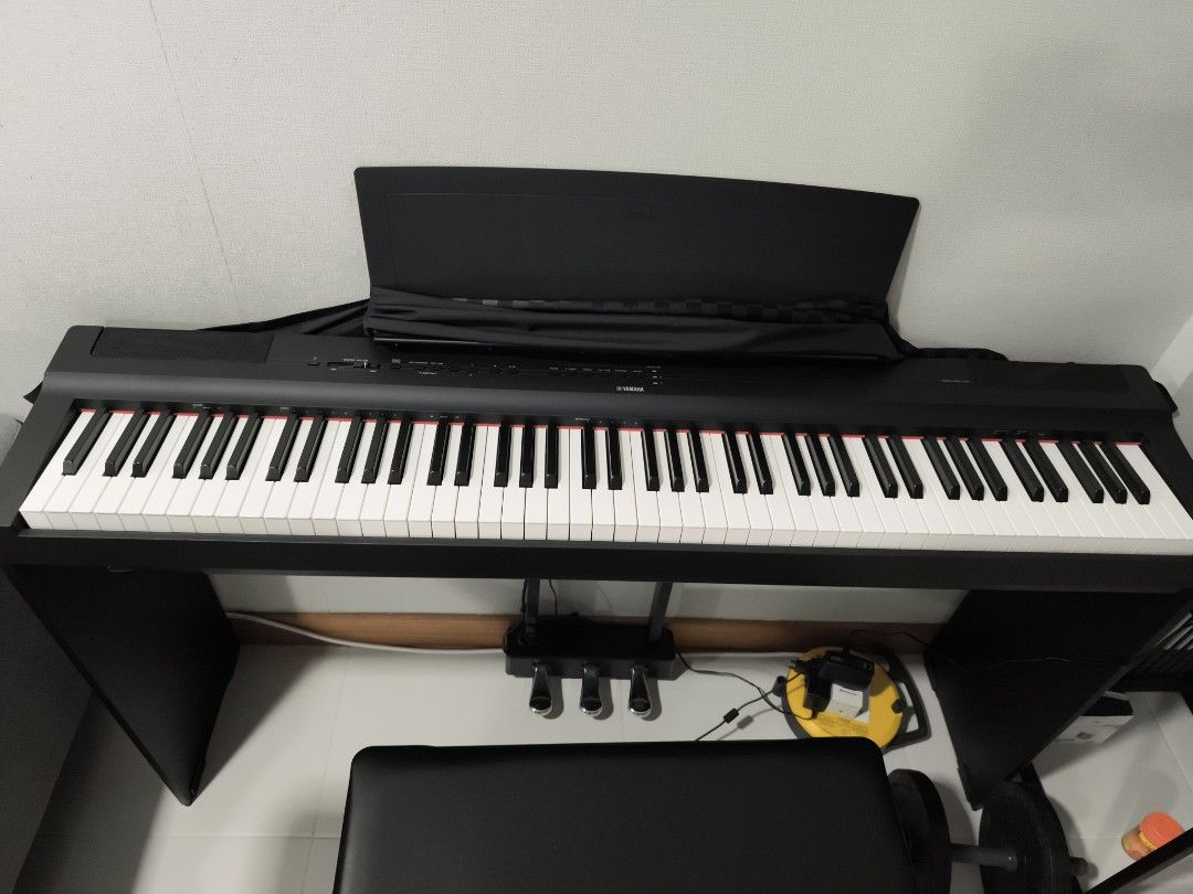 Yamaha P-125 Digital Piano with Bench, Hobbies & Toys, Musical ...
