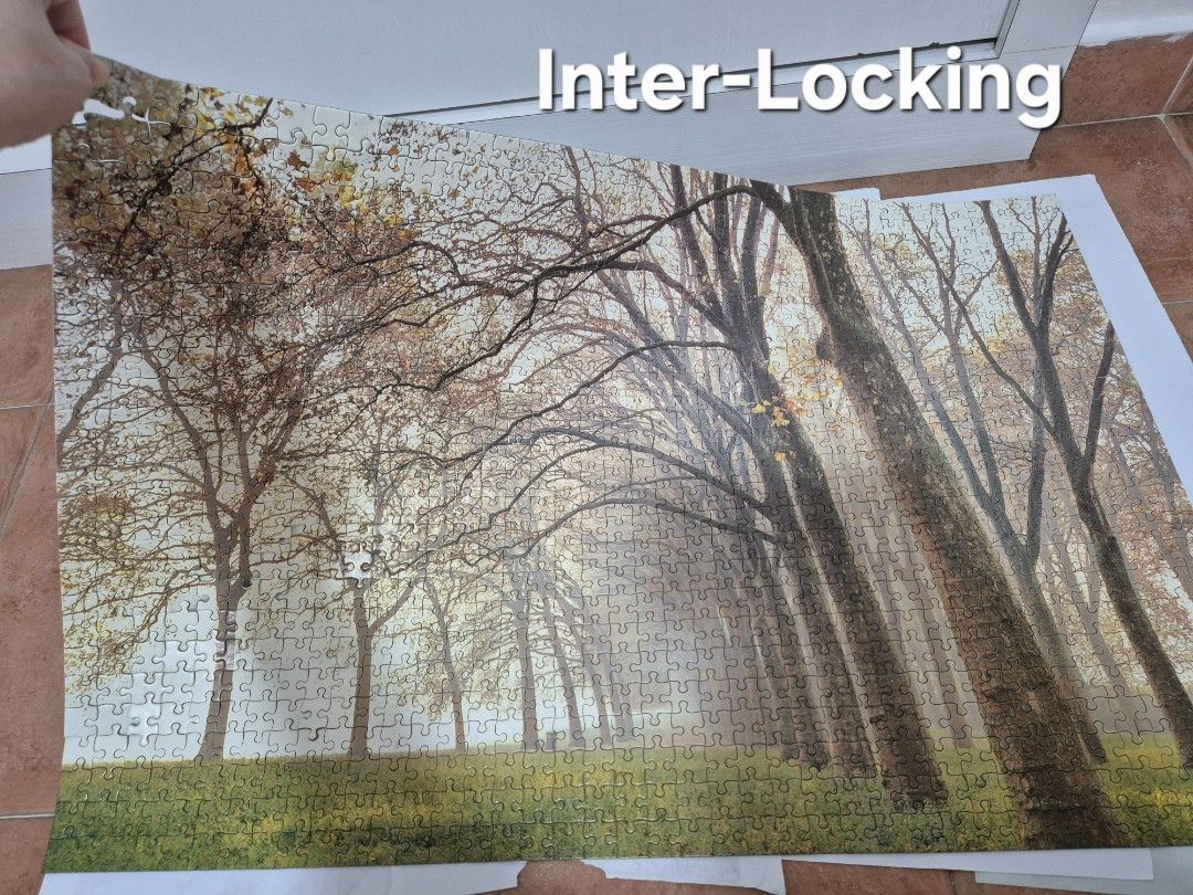 1000-Piece Jigsaw Puzzle - Sound of Silence, Hobbies & Toys, Toys ...