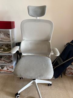 Ergonomic Mesh Office Chair - Full body length, adjustable arm, head ...
