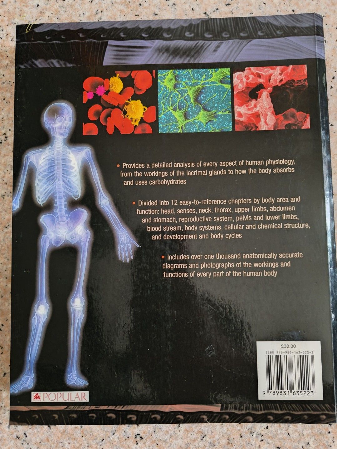 How the Body Works: Comprehensive Anatomy Encyclopedia, Hobbies & Toys ...