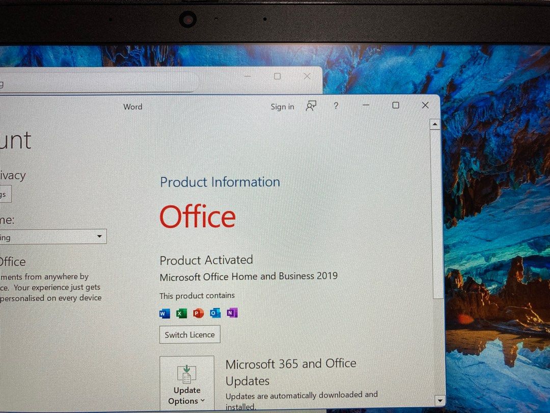 Lenovo ThinkPad X390 Laptop, Win 11, Portable, Lightweight, Computers ...