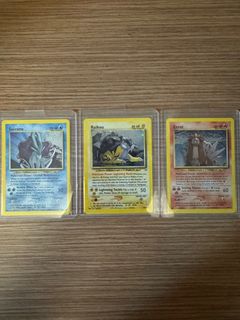 Pokemon V Cards - Raikou, Entei, Suicune, Hobbies & Toys, Toys & Games ...