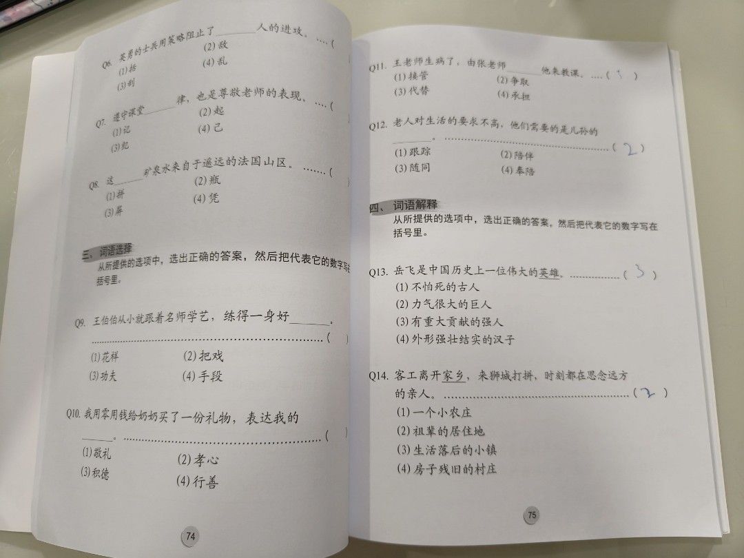 Primary 5 Chinese Topical Enrichment Exercises, Hobbies & Toys, Books ...