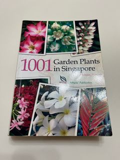 Curry Leave Plant (1 meter height), Hobbies & Toys, Flowers & Bouquets ...