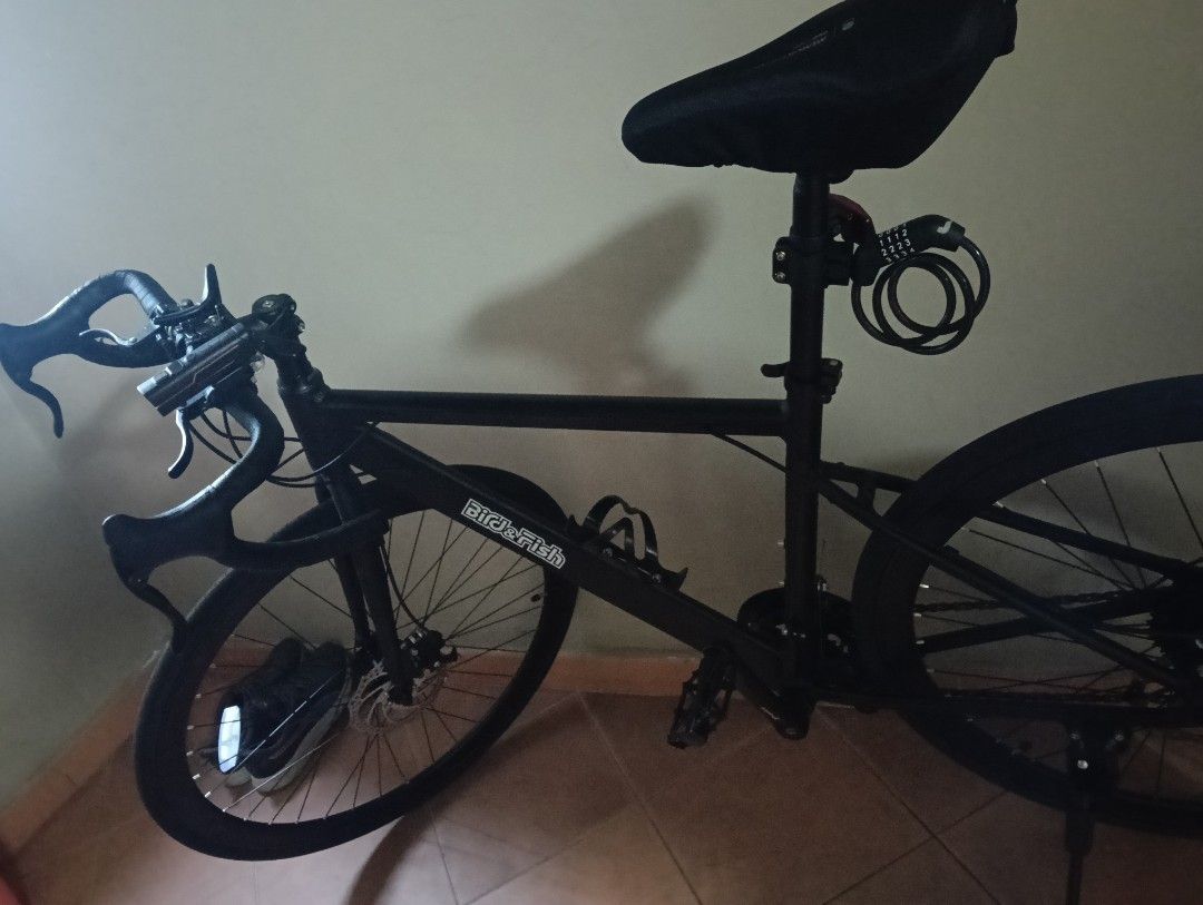 Bird and Fish Road Bike, Sports Equipment, Bicycles & Parts, Bicycles ...