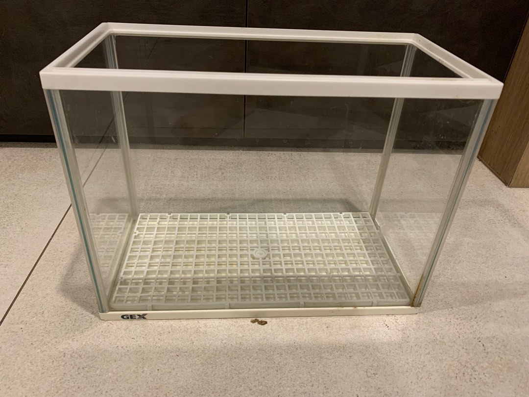 New Gex Perspex Fish aquarium tank and pump, Pet Supplies, Homes ...