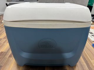 38L Cooler Box with Wheels and Handle, Sports Equipment, Fishing on ...