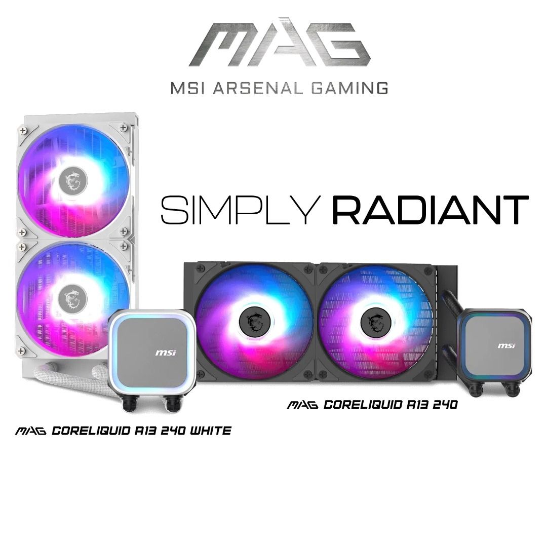 MSI MAG CORELIQUID A13 240 / WHITE, Computers & Tech, Parts ...
