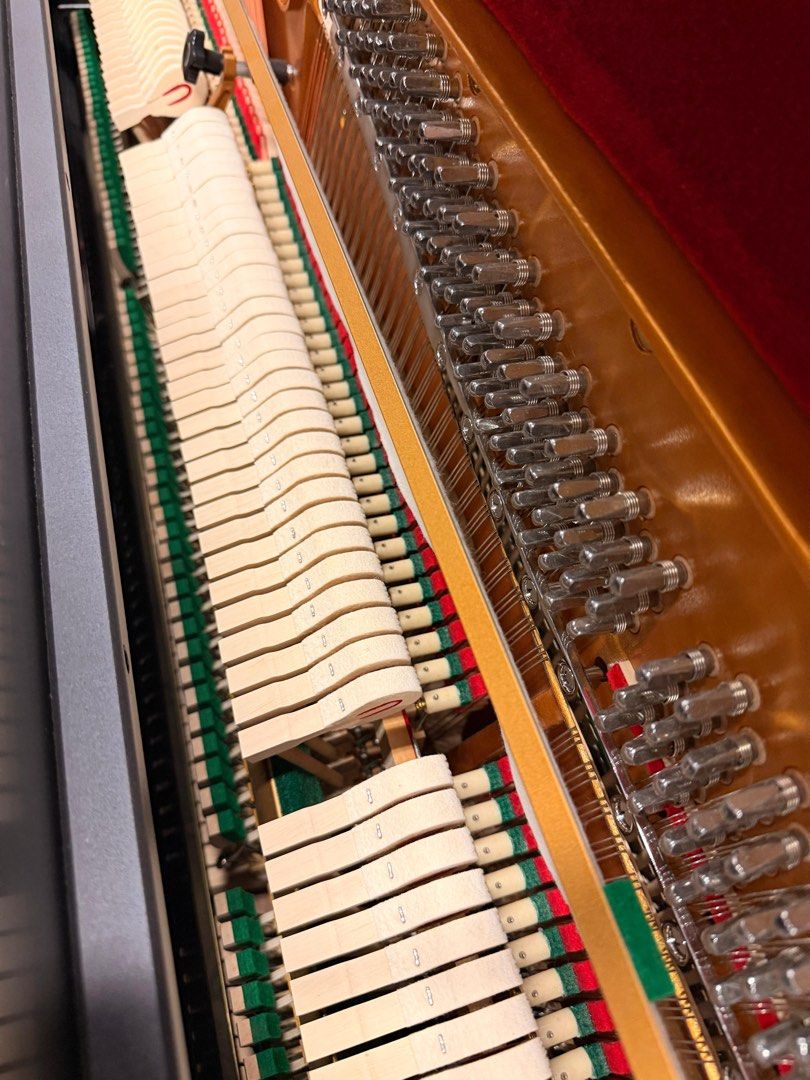 Schulze Pollmann S118A, Hobbies & Toys, Musical Instruments on Carousell