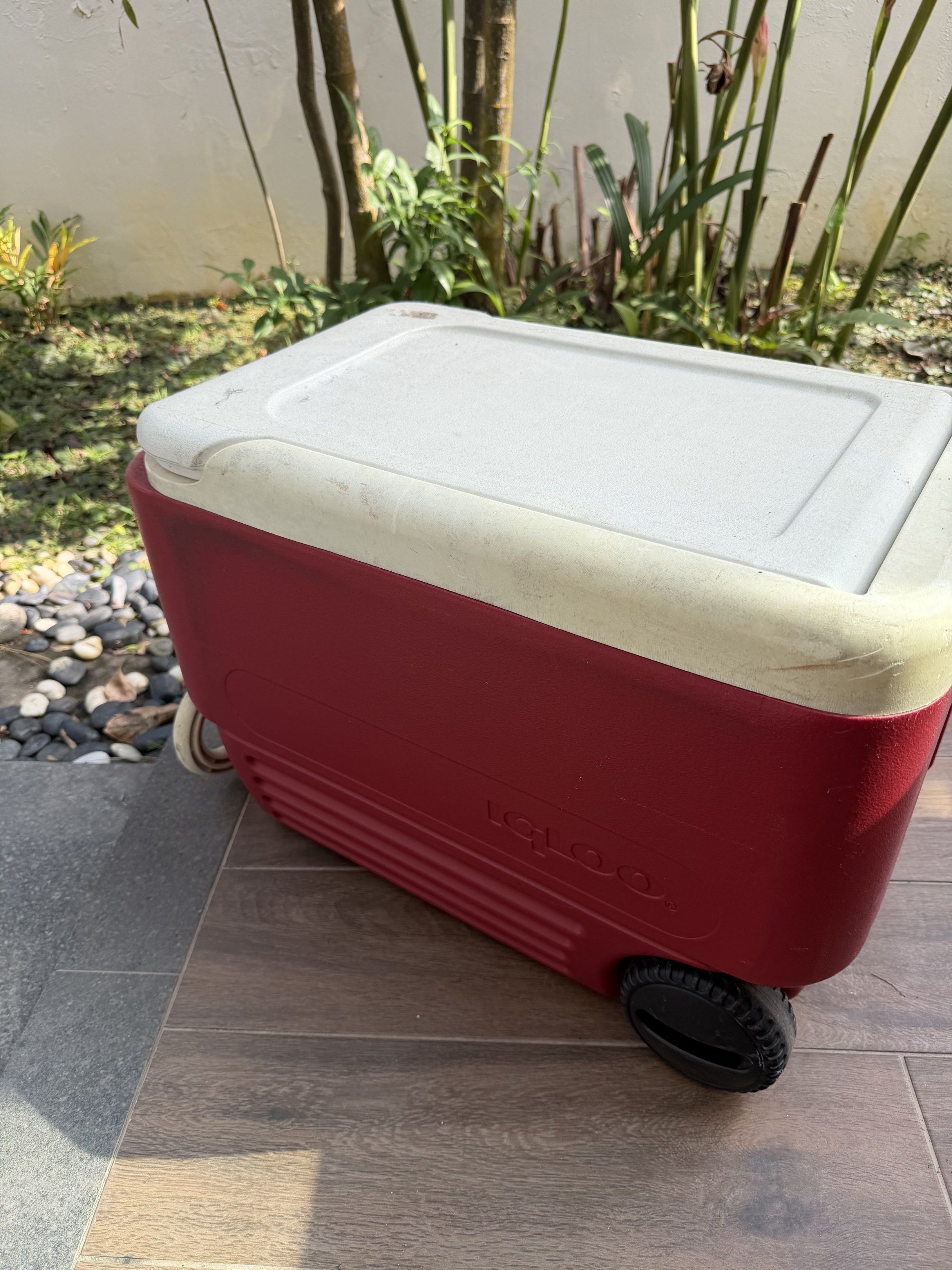 Igloo Cooler Box with Wheels, Sports Equipment, Fishing on Carousell
