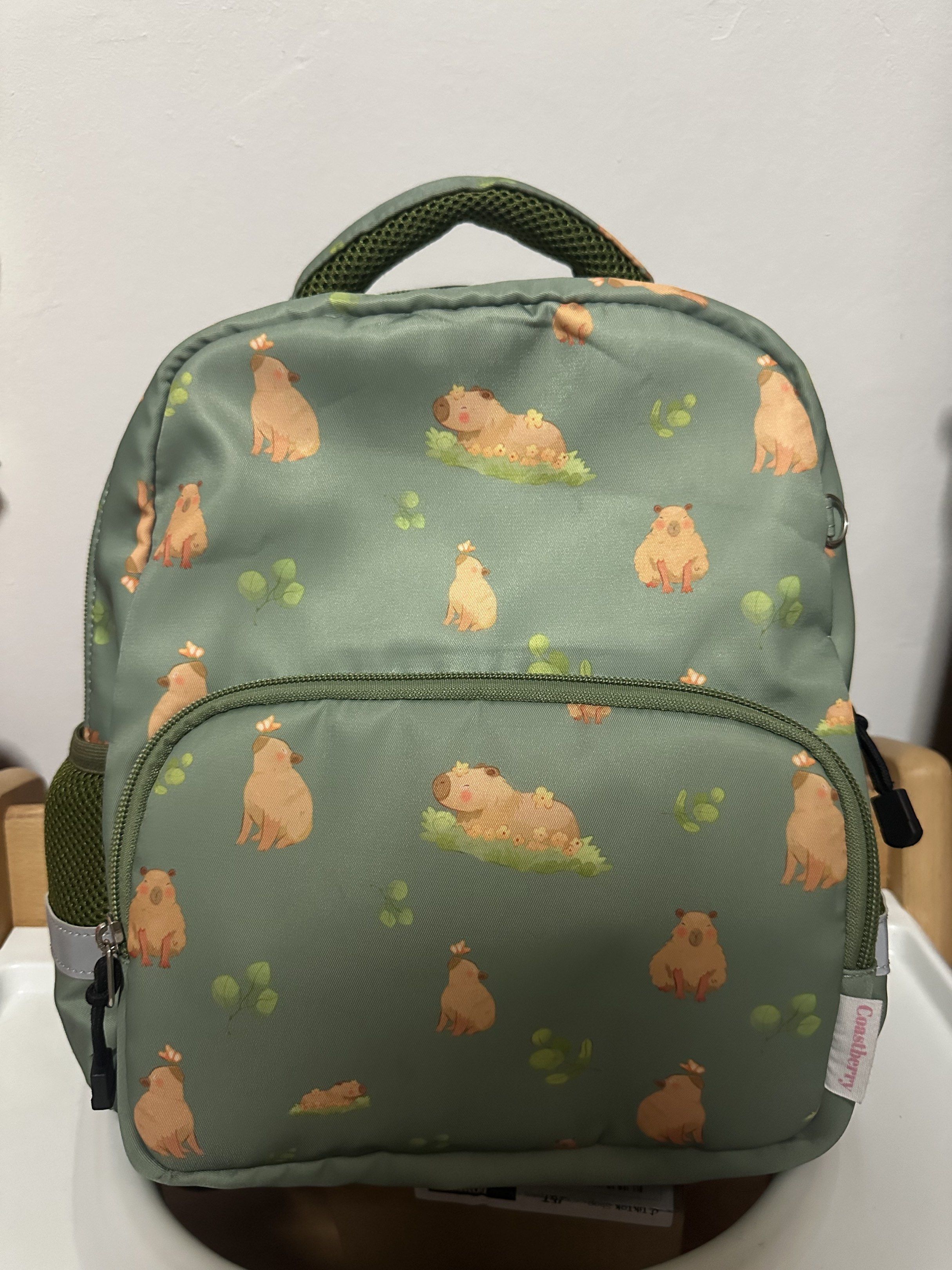 coastberry capybara bag, Babies & Kids, Going Out, Other Babies Going ...
