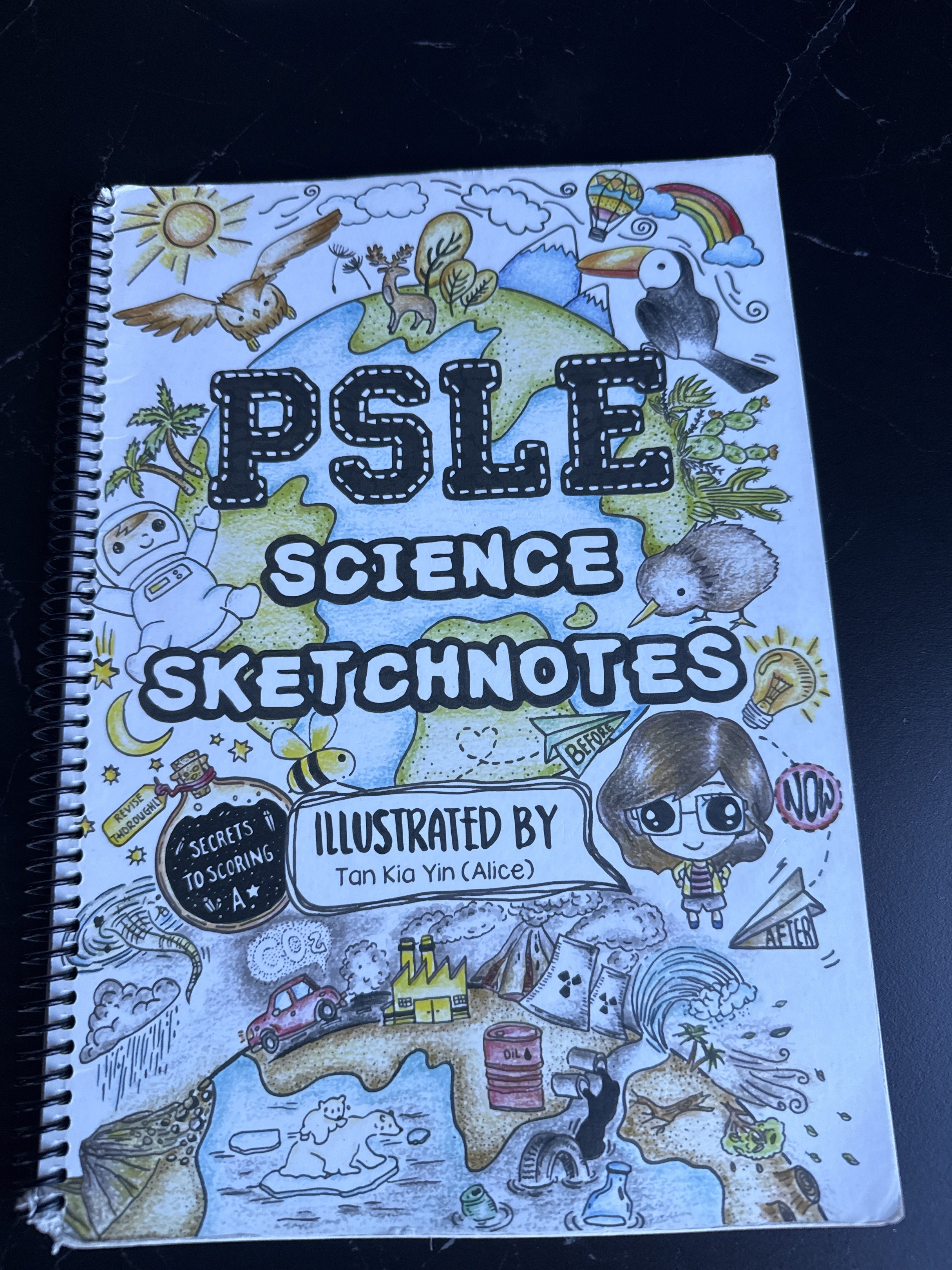 PSLE Science Sketchnotes by Tan Kia Yin (Alice), Hobbies & Toys, Books ...