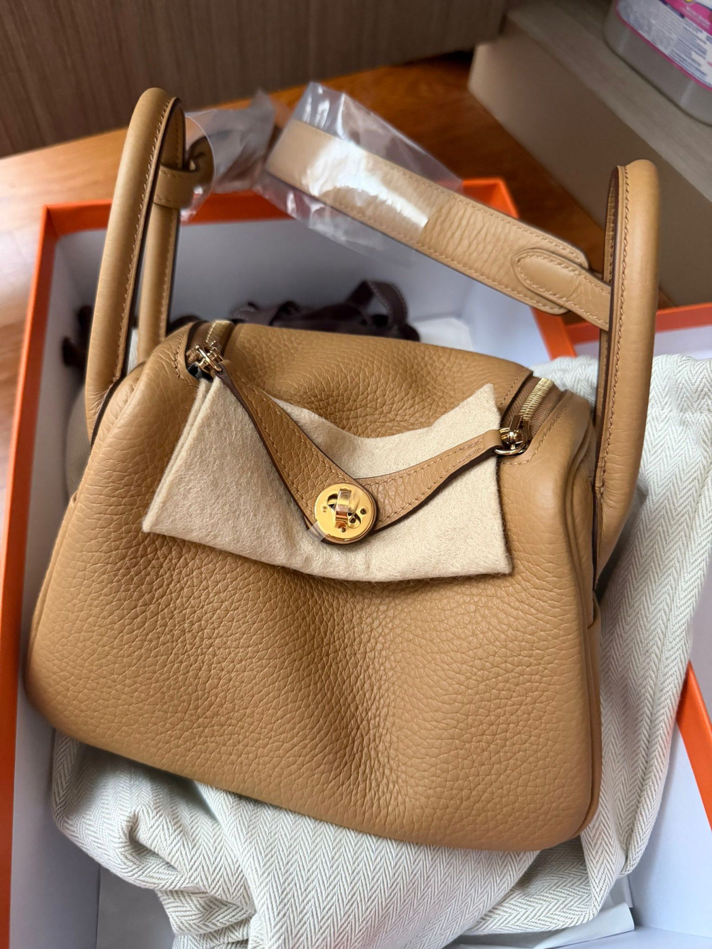 Mini Lindy Poussiere ghw, Luxury, Bags & Wallets on Carousell