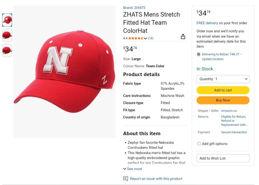 RED NEBRASKA CORNHUSKERS LOGO CLOSED CAP/HAT BY ZEPHYR, Men's Fashion ...
