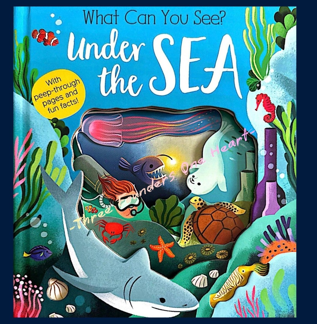 What Can You See? Under the Sea Book, Hobbies & Toys, Books & Magazines ...