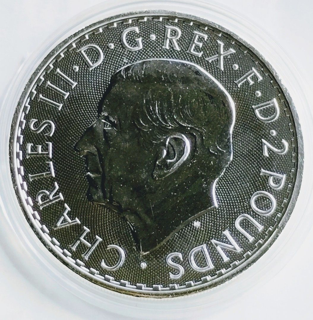 2026 1oz UK Britannia Silver Coin Bullion .999 maple public dinar bar ...