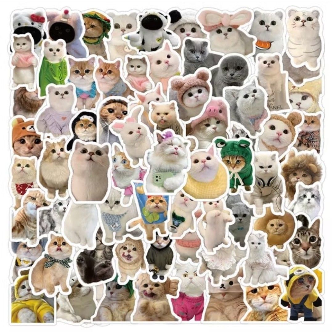 ($3 FOR MIX) 100 cute cat stickers, Hobbies & Toys, Art & Prints on ...