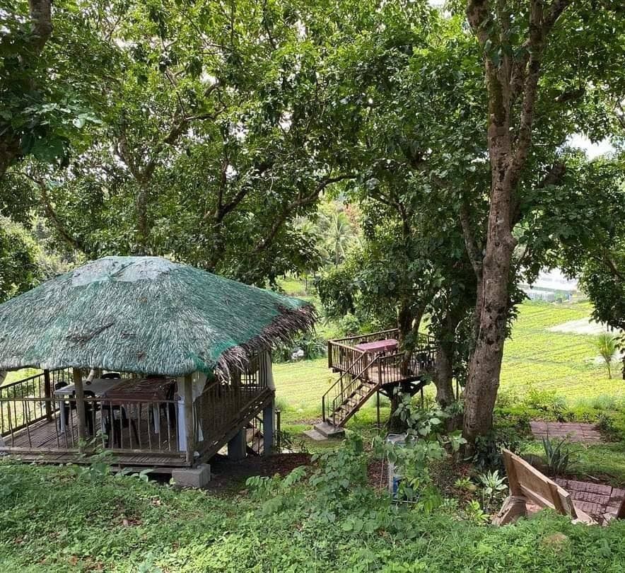 IMMEDIATE SALE Farm in San Jose Del Monte Bulacan, Property, For Sale ...