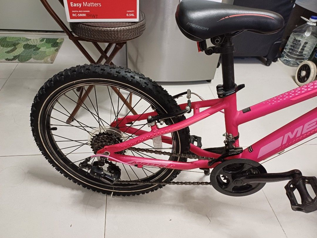 Merida (美利達) 的 Matts J.20 兒童山地車, 運動產品, 單車及配件, 單車 - Carousell
