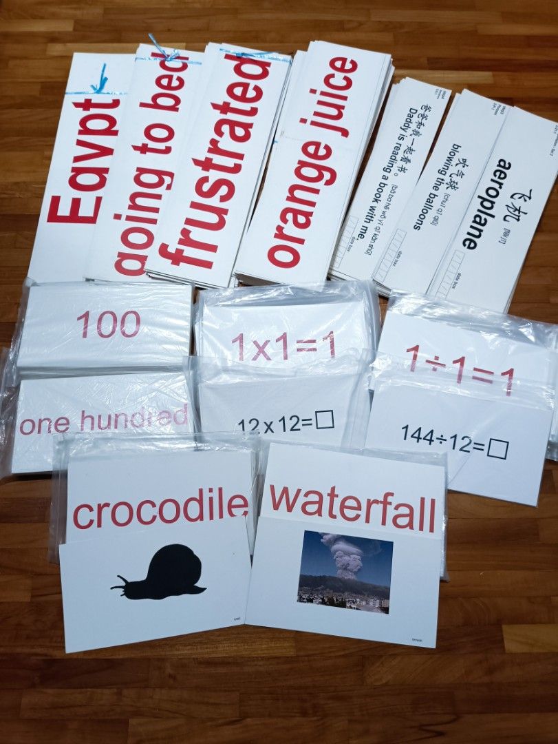 Glenn Doman Educational Large Flash Cards - English, Chinese, Math ...