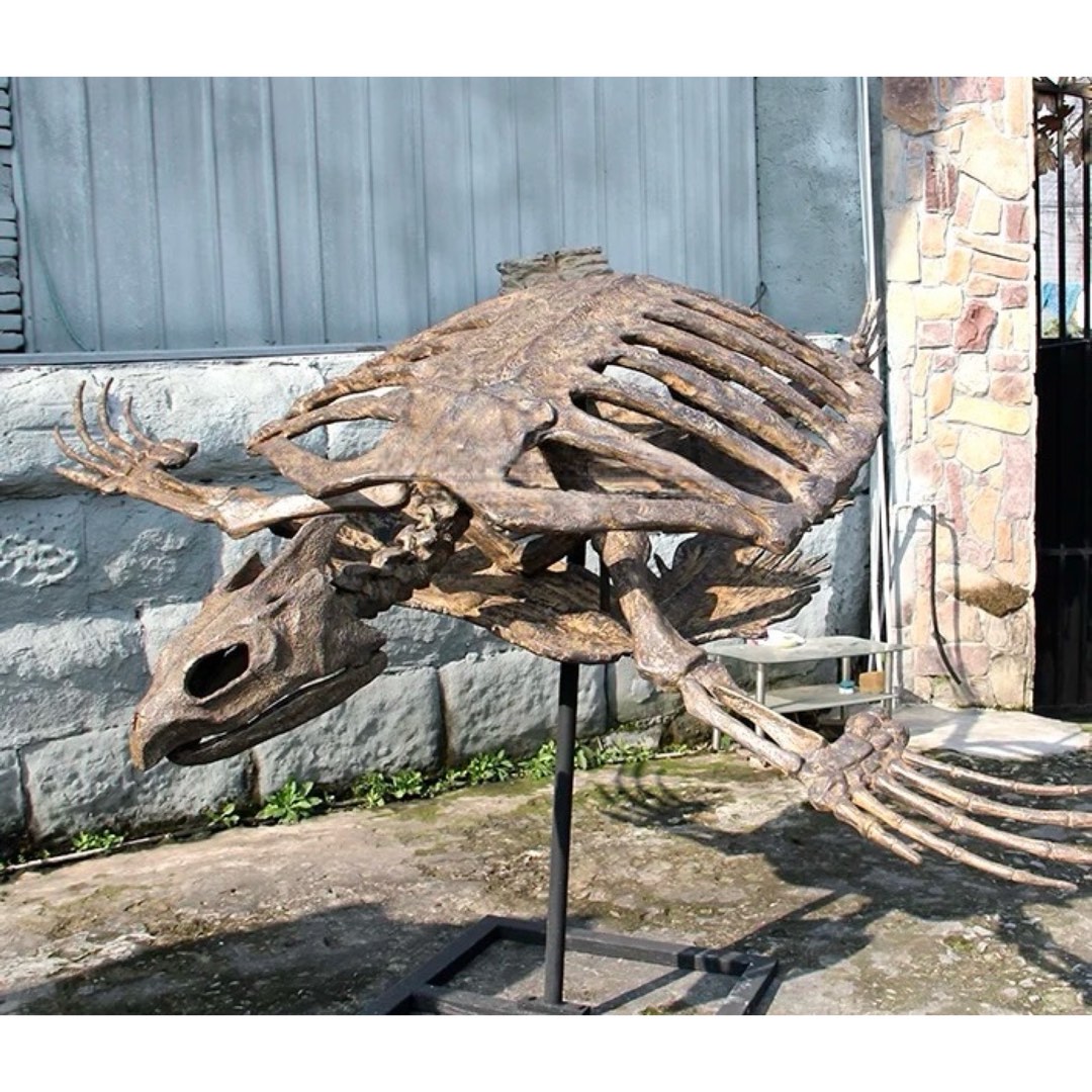 13.1ft 4m Largest Turtle Archelon Extinct Skeleton Museumn Replica ...