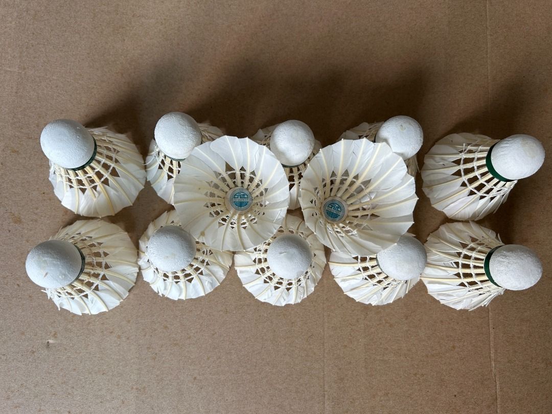 12 Feather Badminton Shuttlecocks, Sports Equipment, Sports & Games ...