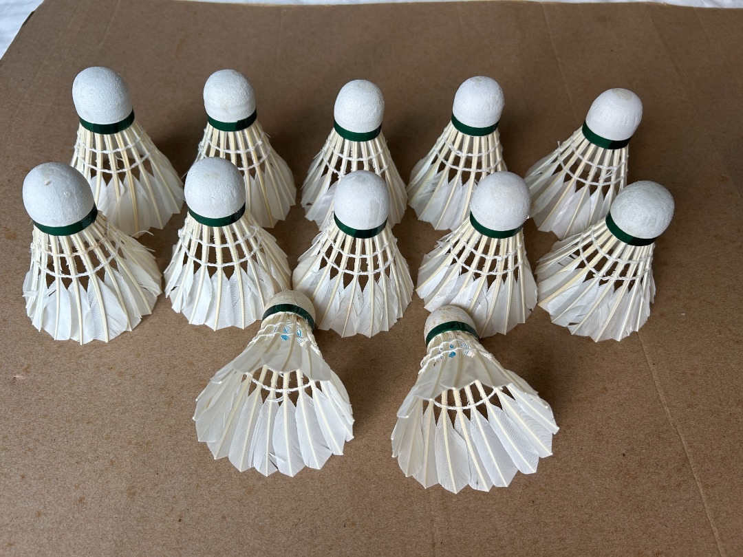 12 Feather Badminton Shuttlecocks, Sports Equipment, Sports & Games ...