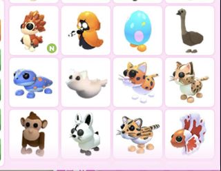 adopt me | nfr cabbit $40 |mfr cabbit $165, Video Gaming, Gaming ...