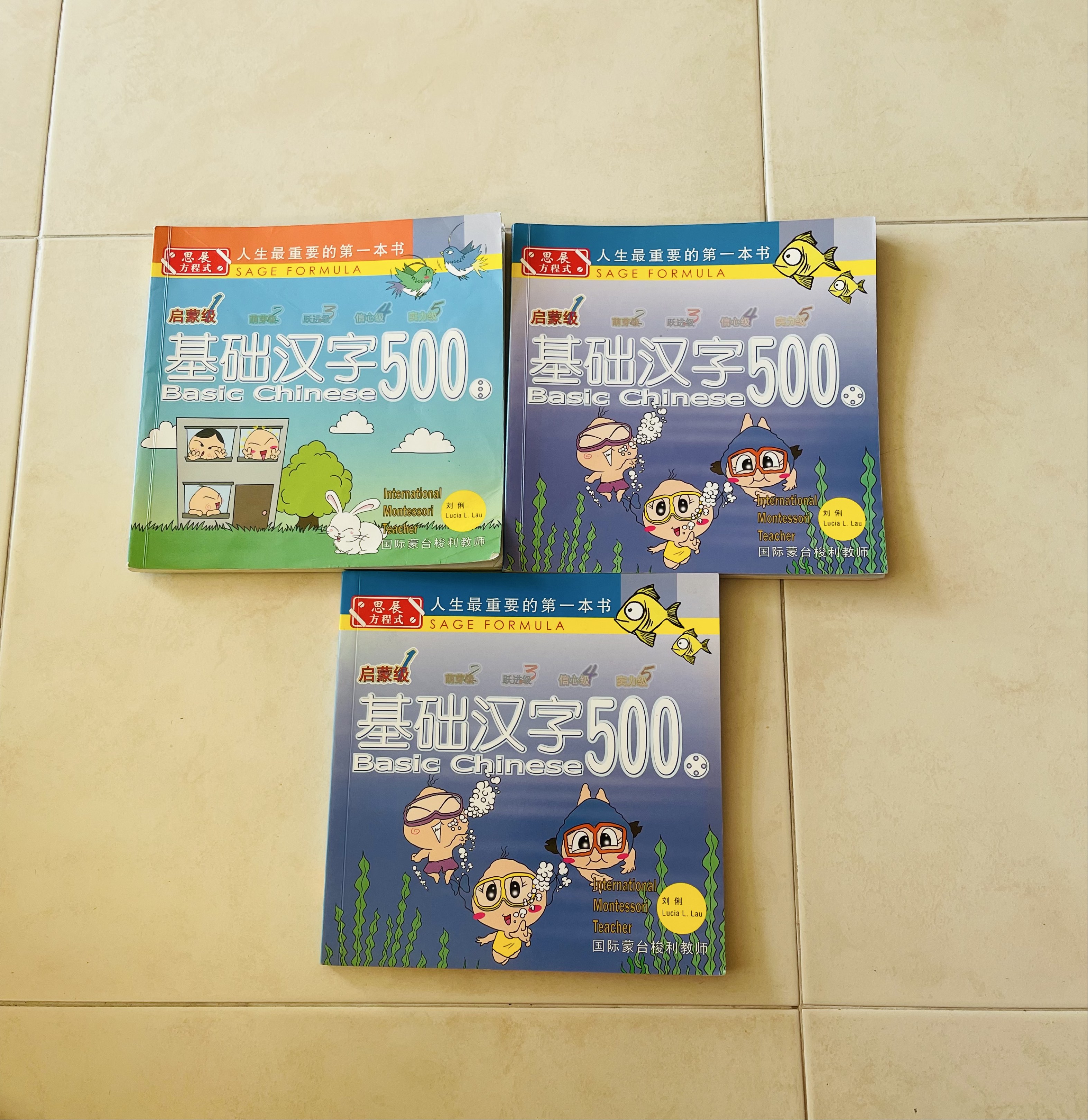 Basic Chinese 500, Hobbies & Toys, Books & Magazines, Children's Books ...