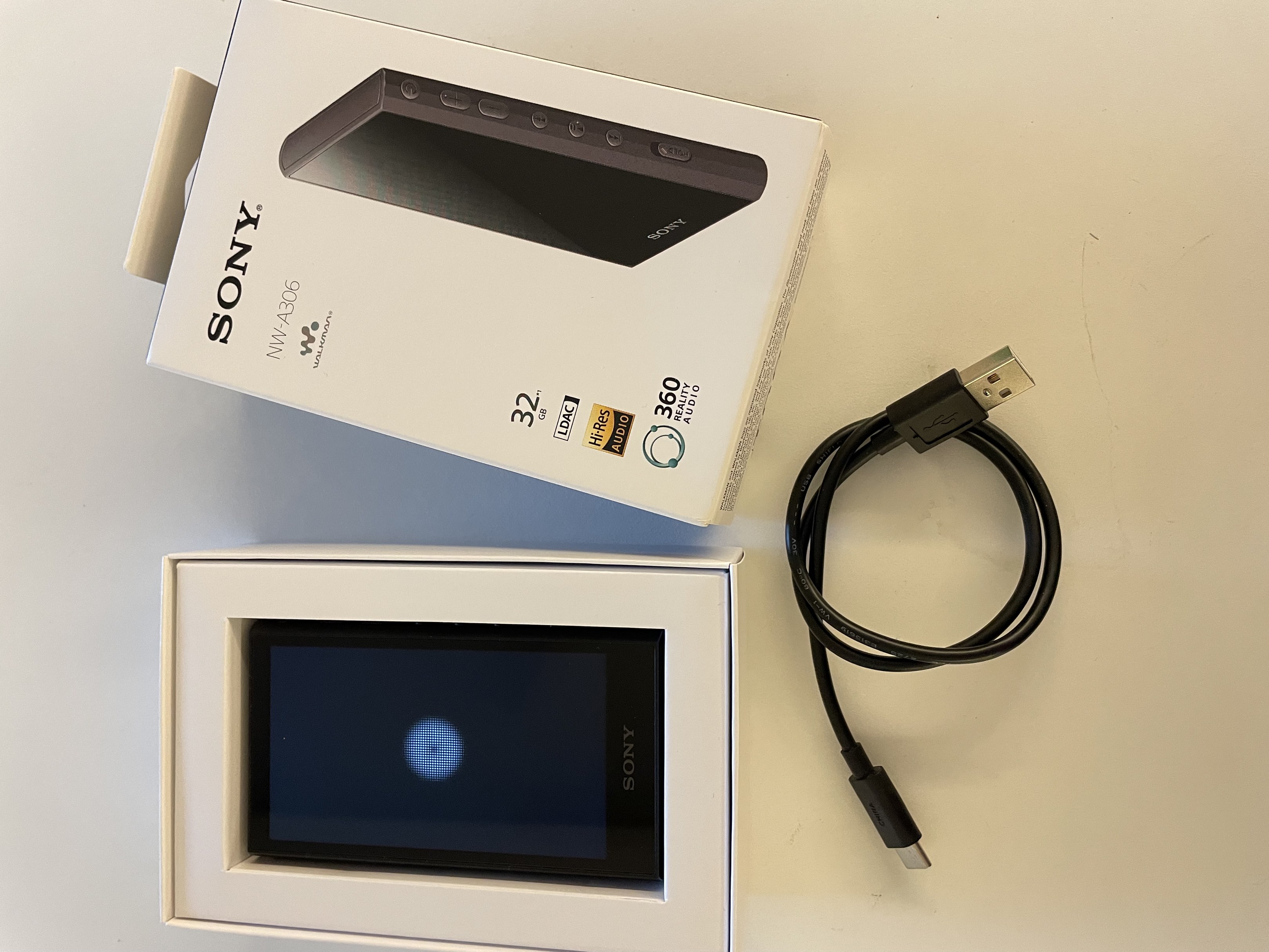 Sony NW-A306 Portable Audio Player, Audio, Portable Music Players on ...