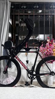 Grey tsunami fs wts, Sports Equipment, Bicycles & Parts, Bicycles on ...