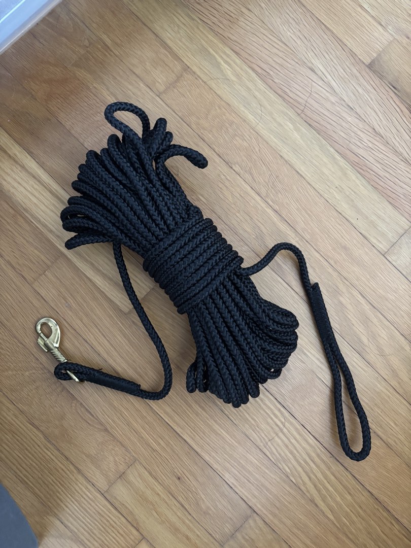 10m Black Dog Training Leash with Brass Clip, Pet Supplies, Homes ...