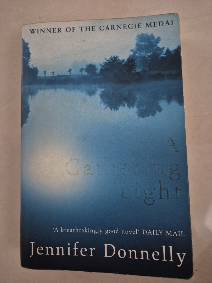 A Gathering Light by Jennifer Donnelly, Hobbies & Toys, Books ...