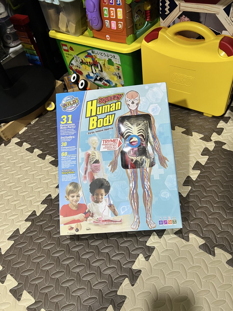 Wild! Science Squeezy Human Body, Hobbies & Toys, Toys & Games on Carousell