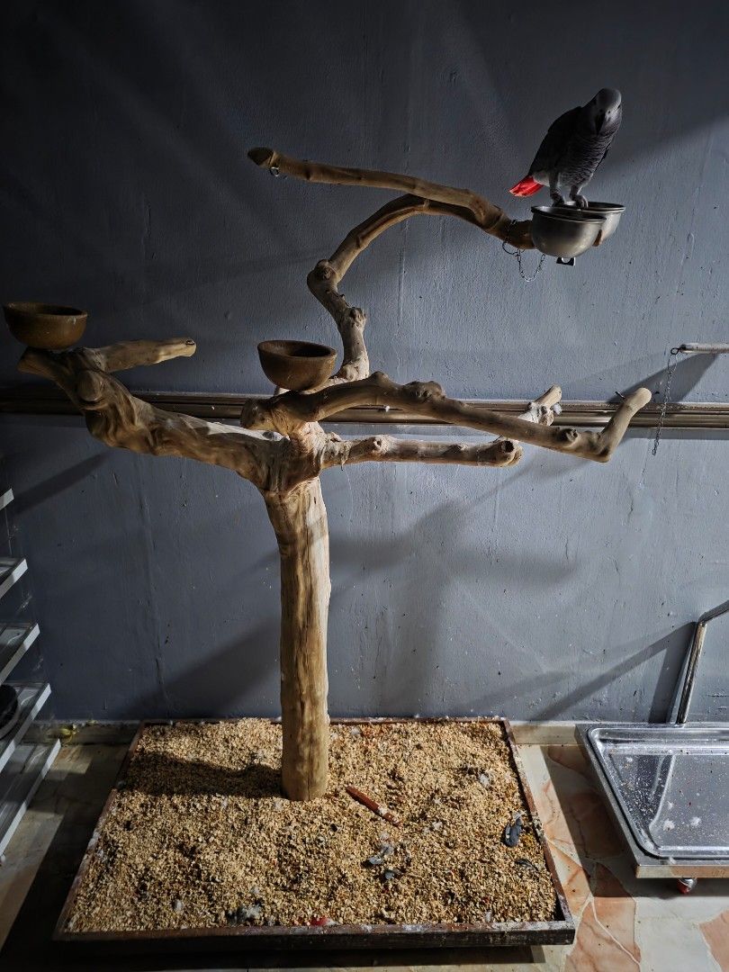 Handmade Wooden Bird Perch with Bowls, Pet Supplies, Homes & Other Pet ...