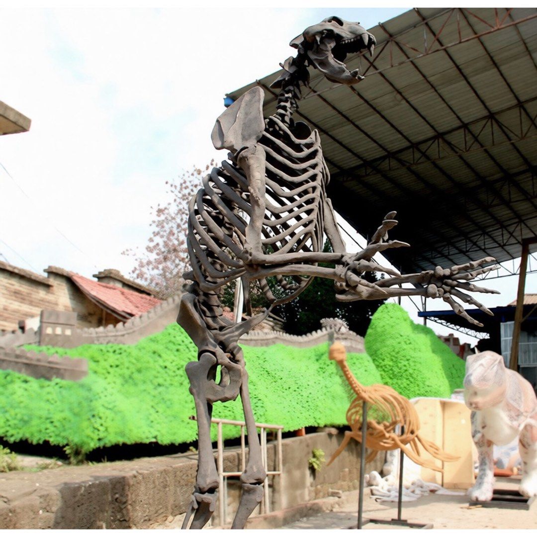 2.6m Arctodus Simus Skeleton Animal Extinct Museum Replica Decoration ...