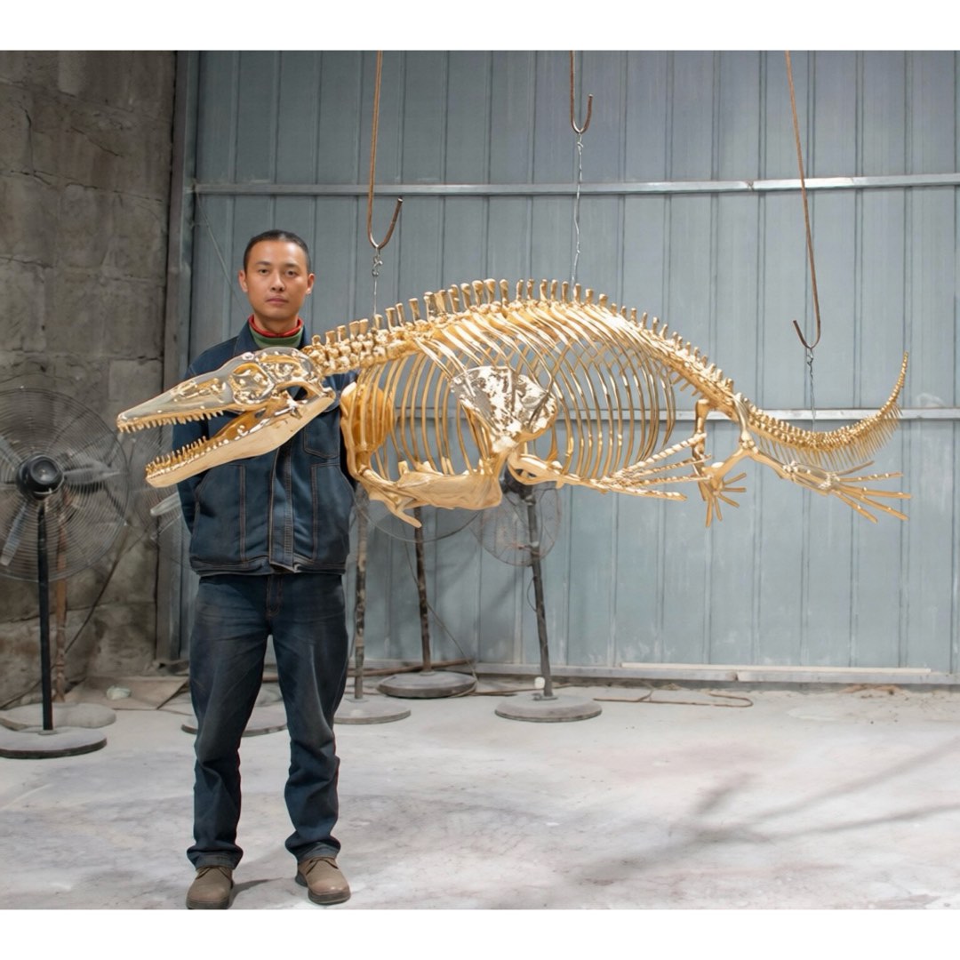 9.8ft 3m Gold Mosasaur Skeleton Animal Extinct Museum Replica ...